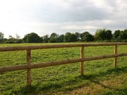 Equine Fencing